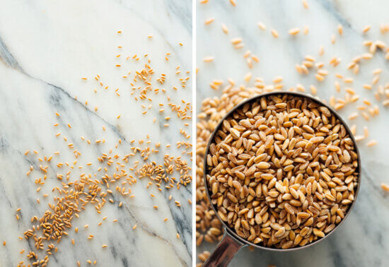 How to Cook Farro (Recipe & Tips) - Cookie and Kate
