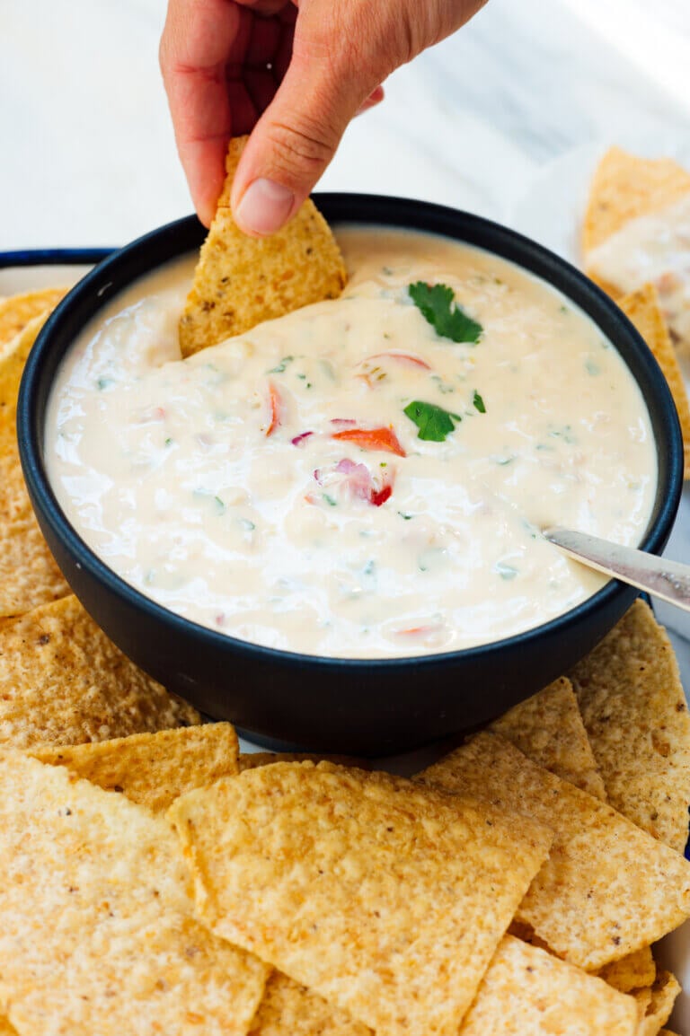 The Best Queso Recipe The Website Collects Recipes And Desserts From The Best Queso Recipe The Website Collects Recipes And Desserts From